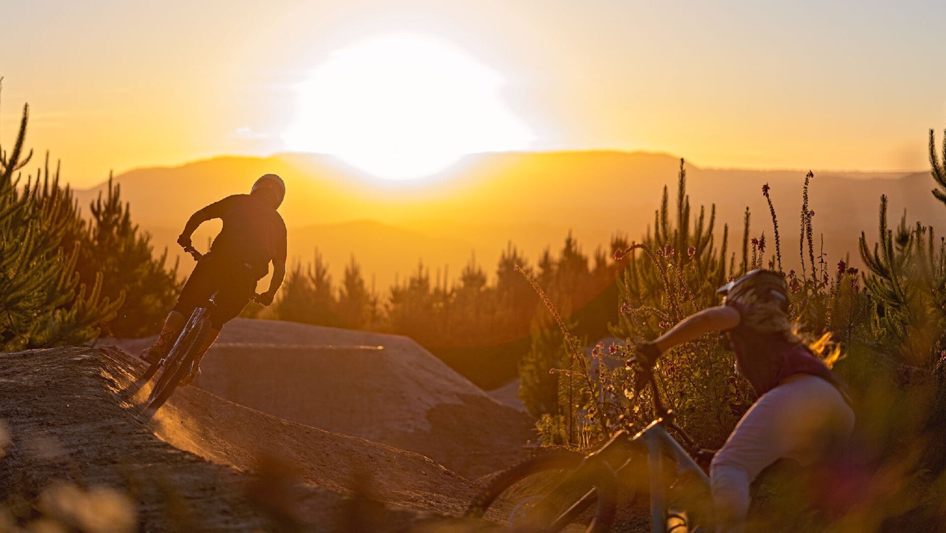 Warm up with Percutane. Cool down & recover faster with Traumitane ...